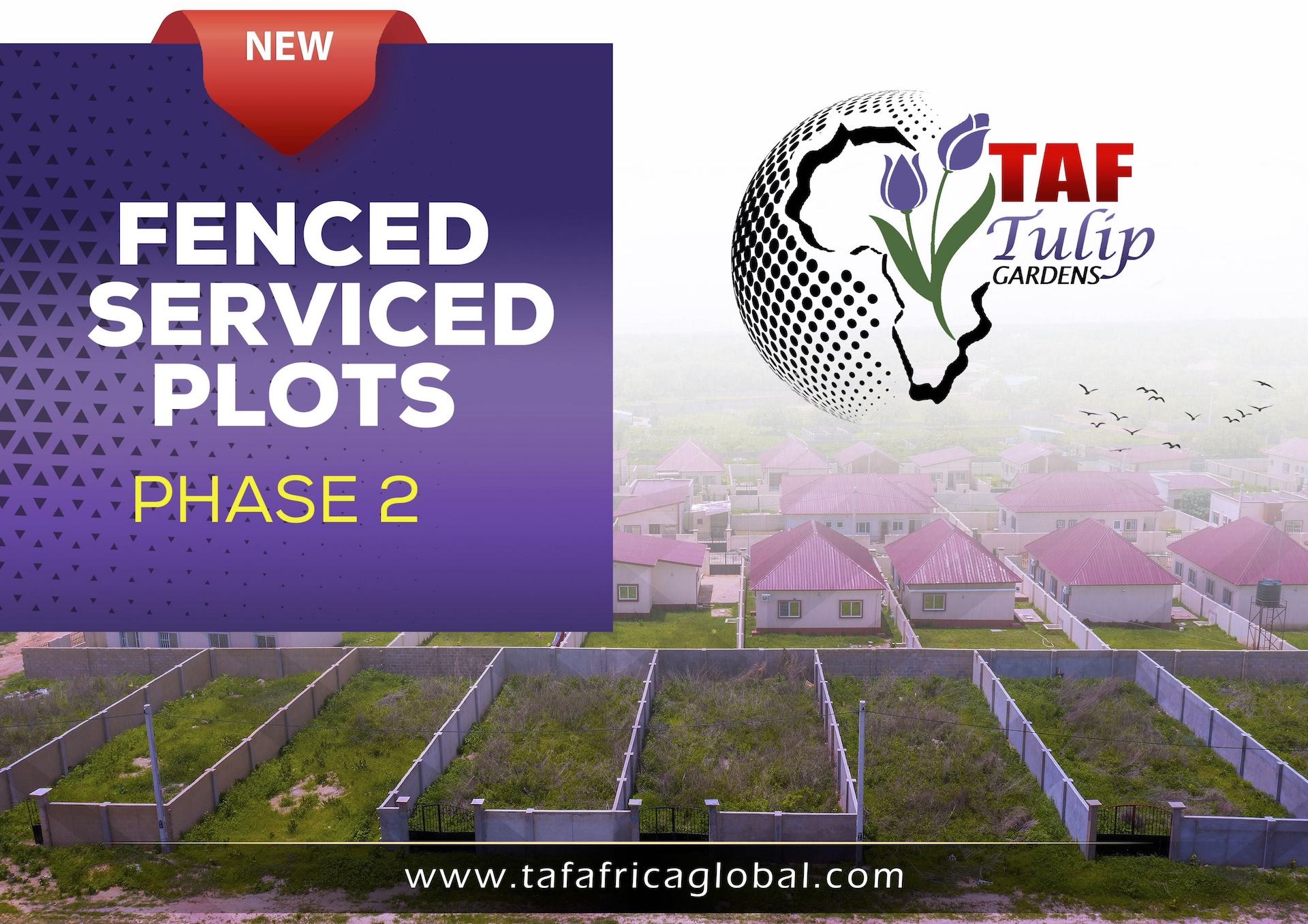 TAF AFRICA GLOBAL